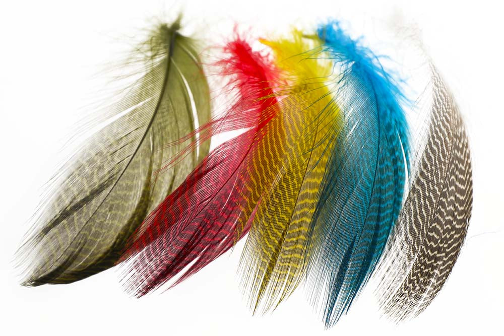 Teal fjer er fremragende til lakse- og havørredfluer