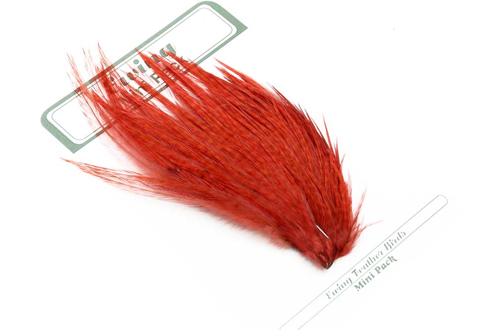 Ewing 14's & 16's Dry Fly Mini Pack Ginger
