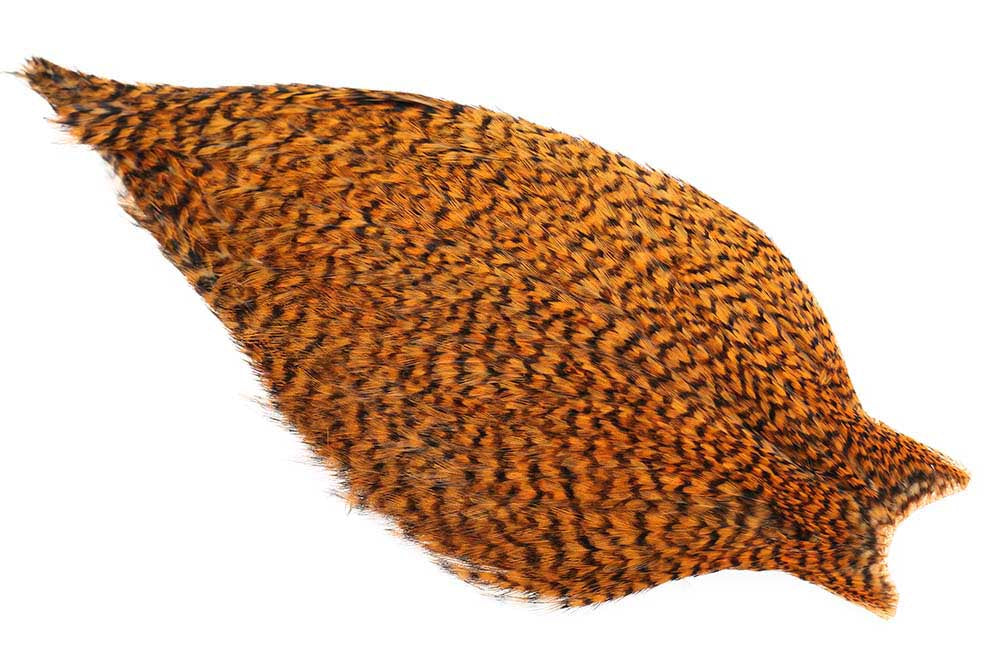 Whiting American Rooster cape is the best capes out there! – Nordic Anglers