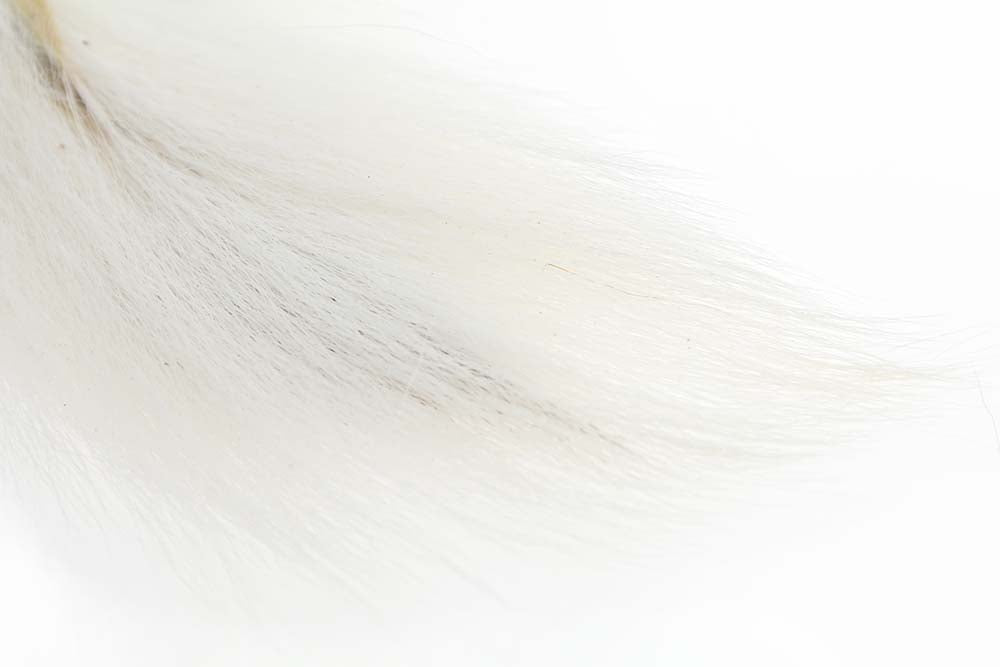 Bucktail Medium, Fl.White